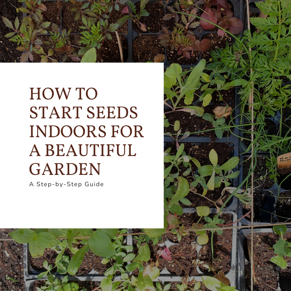How to Start Seeds Indoors for a Beautiful Garden – A Step-by-Step Gui